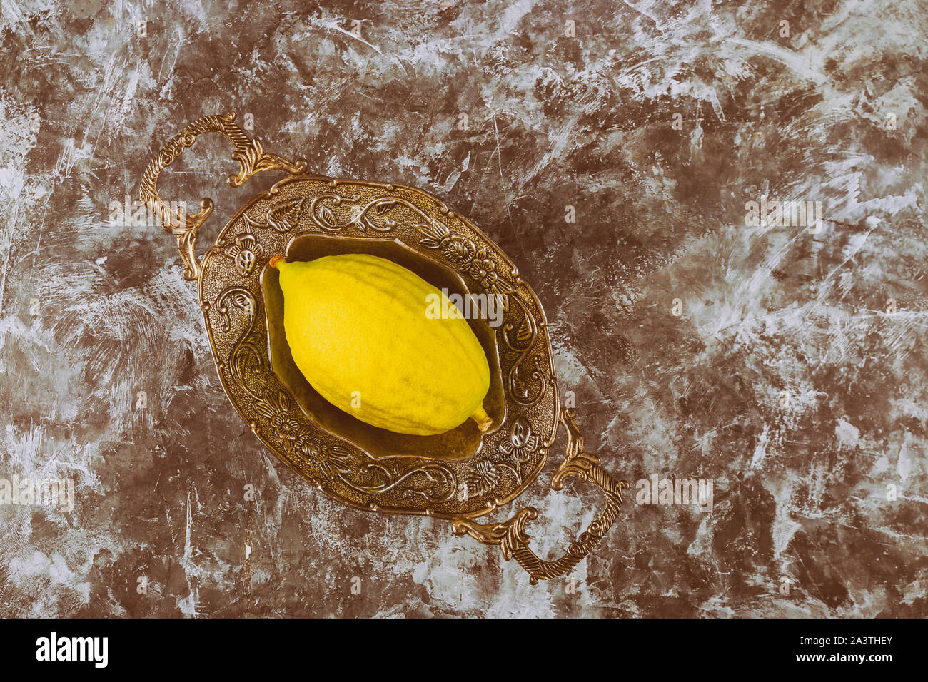 Etrog for Jewish holiday of during yellow citron used by Jews holiday ...