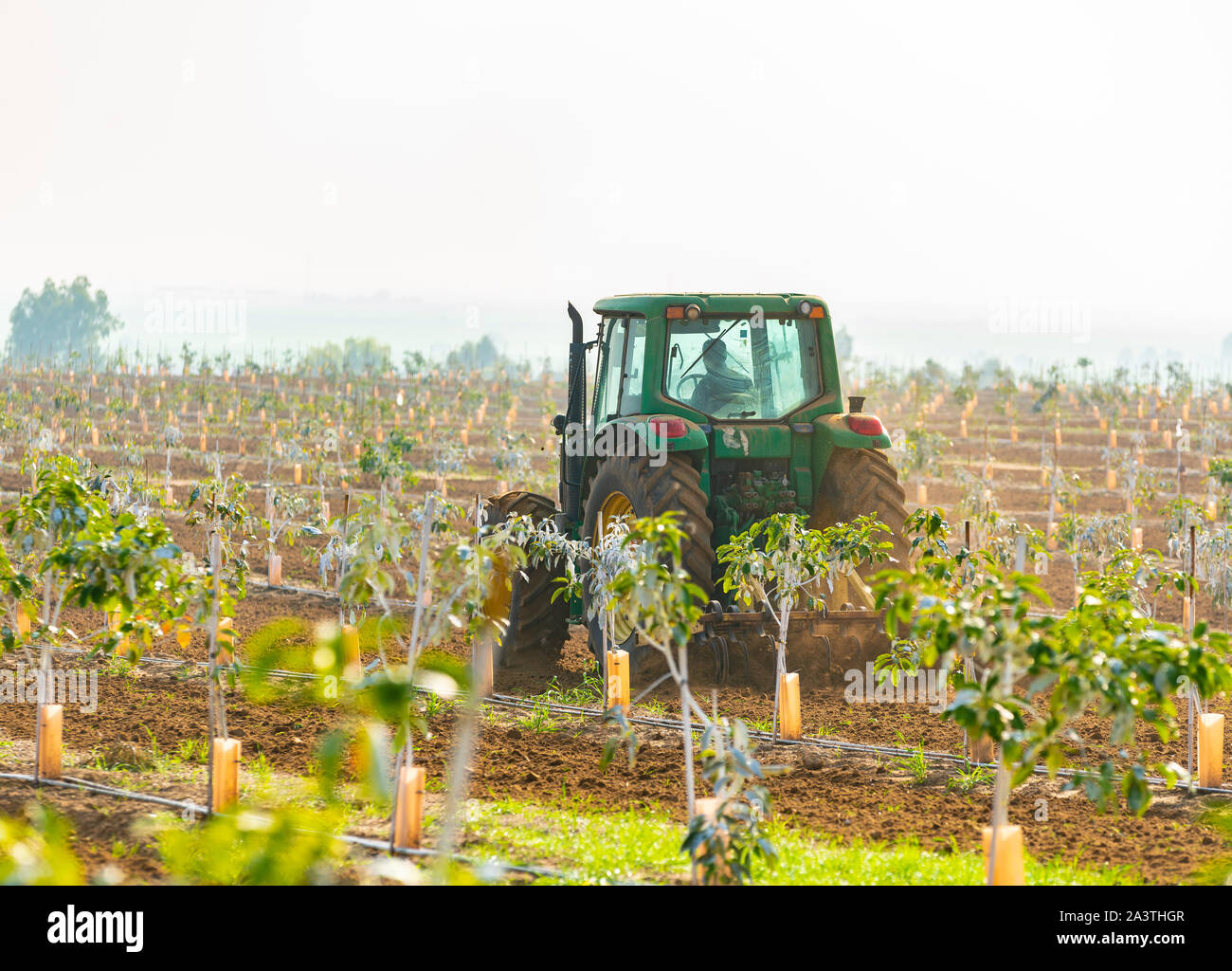 rural landscape, tractor cultivates agricultural land Stock Photo - Alamy