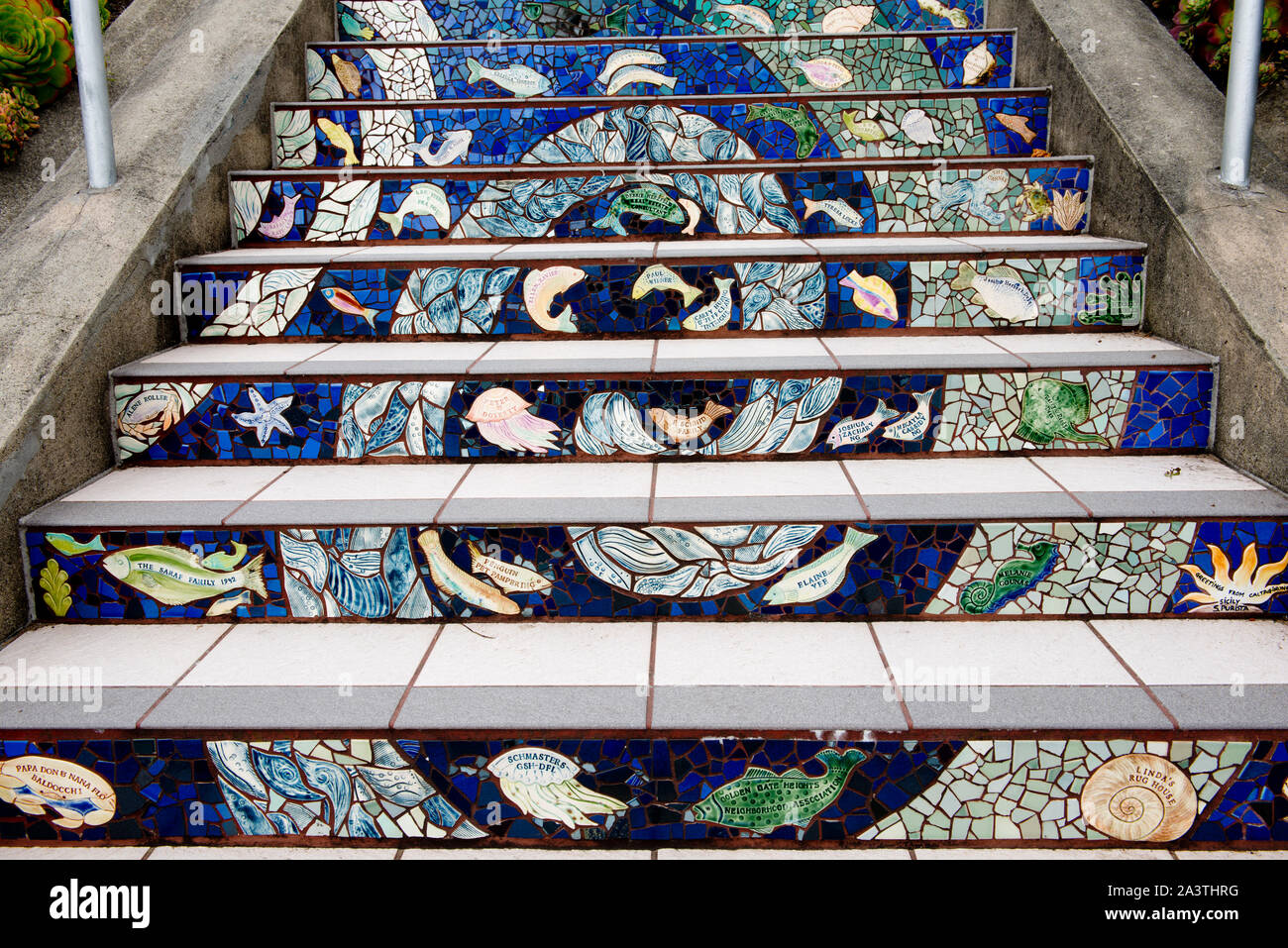 The 16th Avenue Tiled Steps Project, a neighborhood effort to create a ...