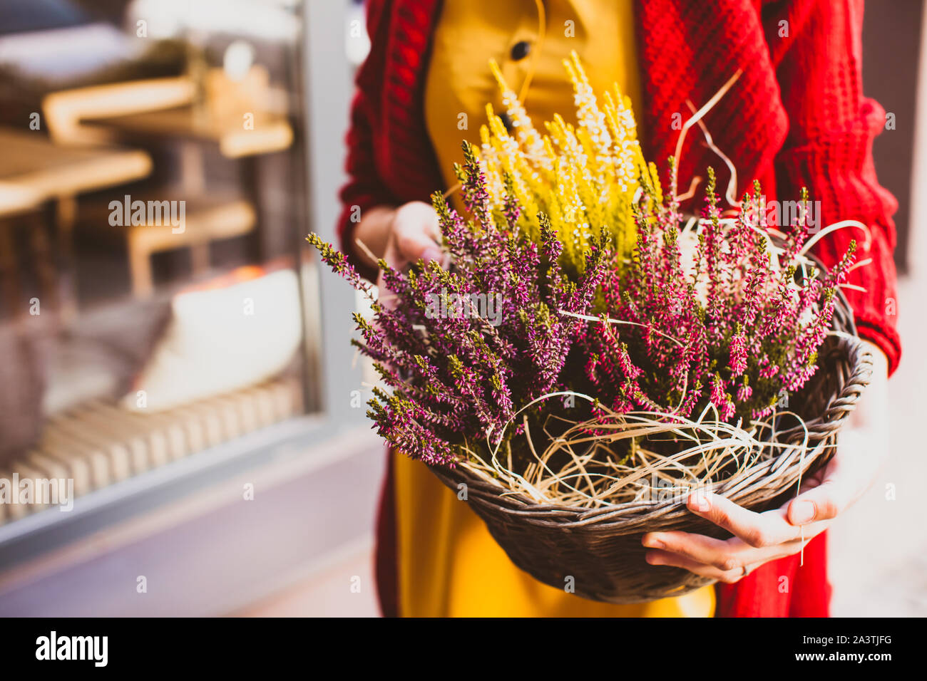 Florist woman sells heather flowers at a garden center Stock Photo - Alamy