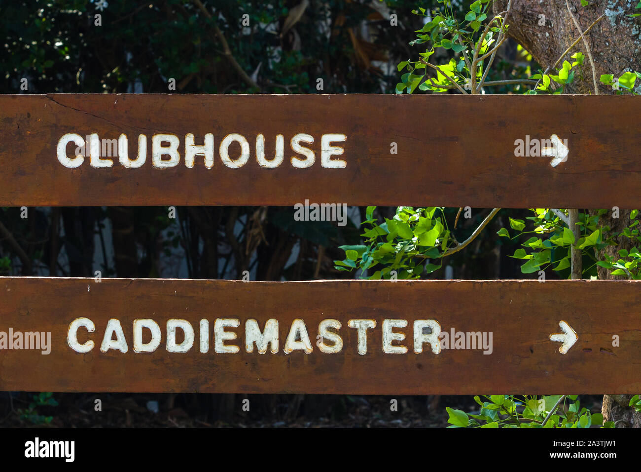 Golf course worded direction signs clubhouse and caddiemaster ...