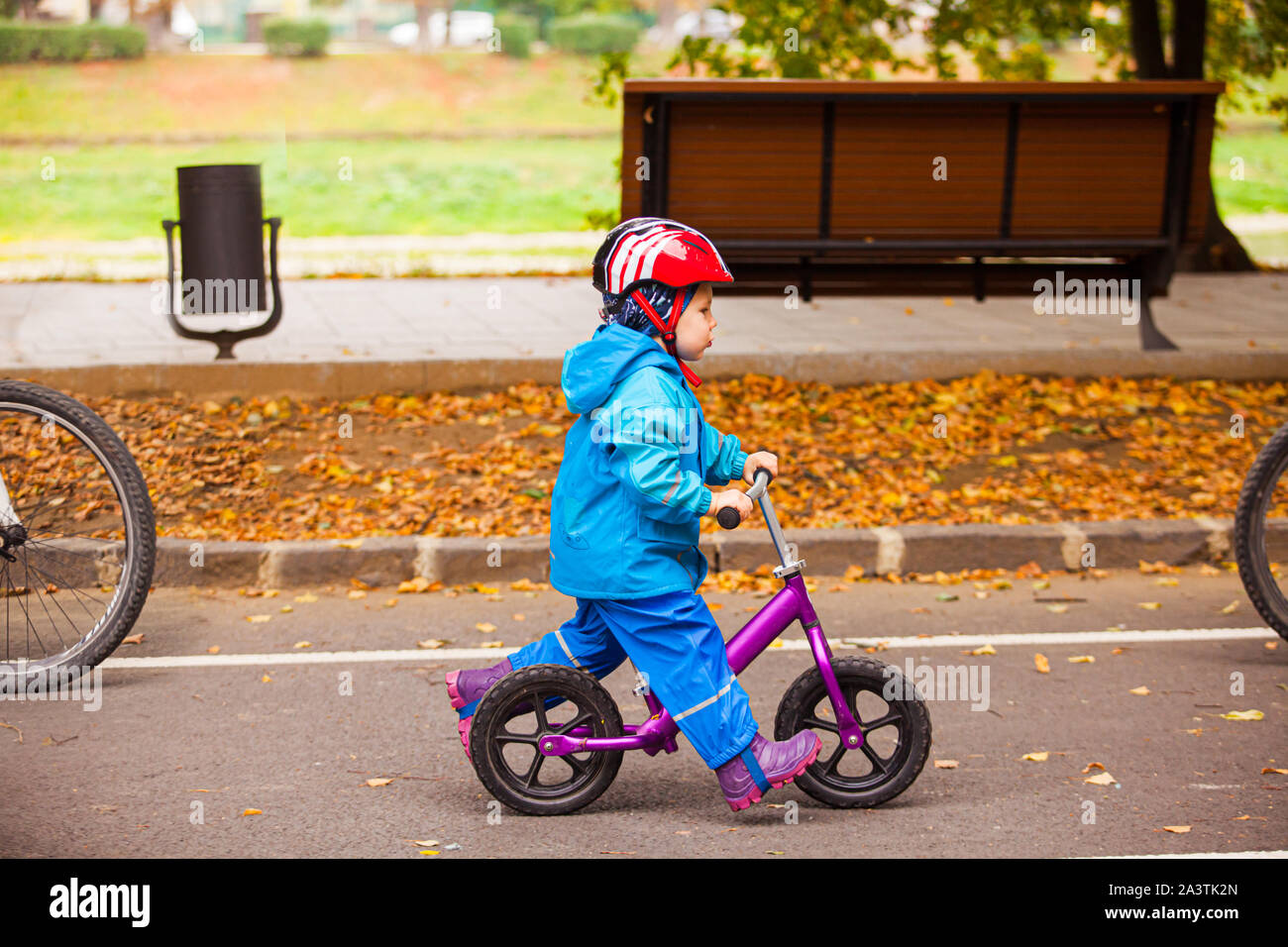 Little kid riding on balance bike, follow the parents Stock Photo - Alamy