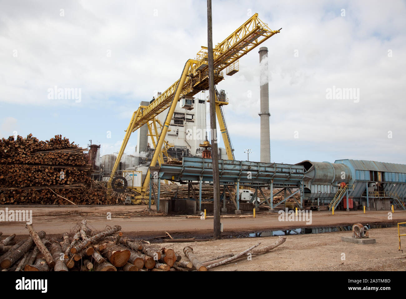 The Alabama River Pulp Company and the Claiborne Mill Complex ...