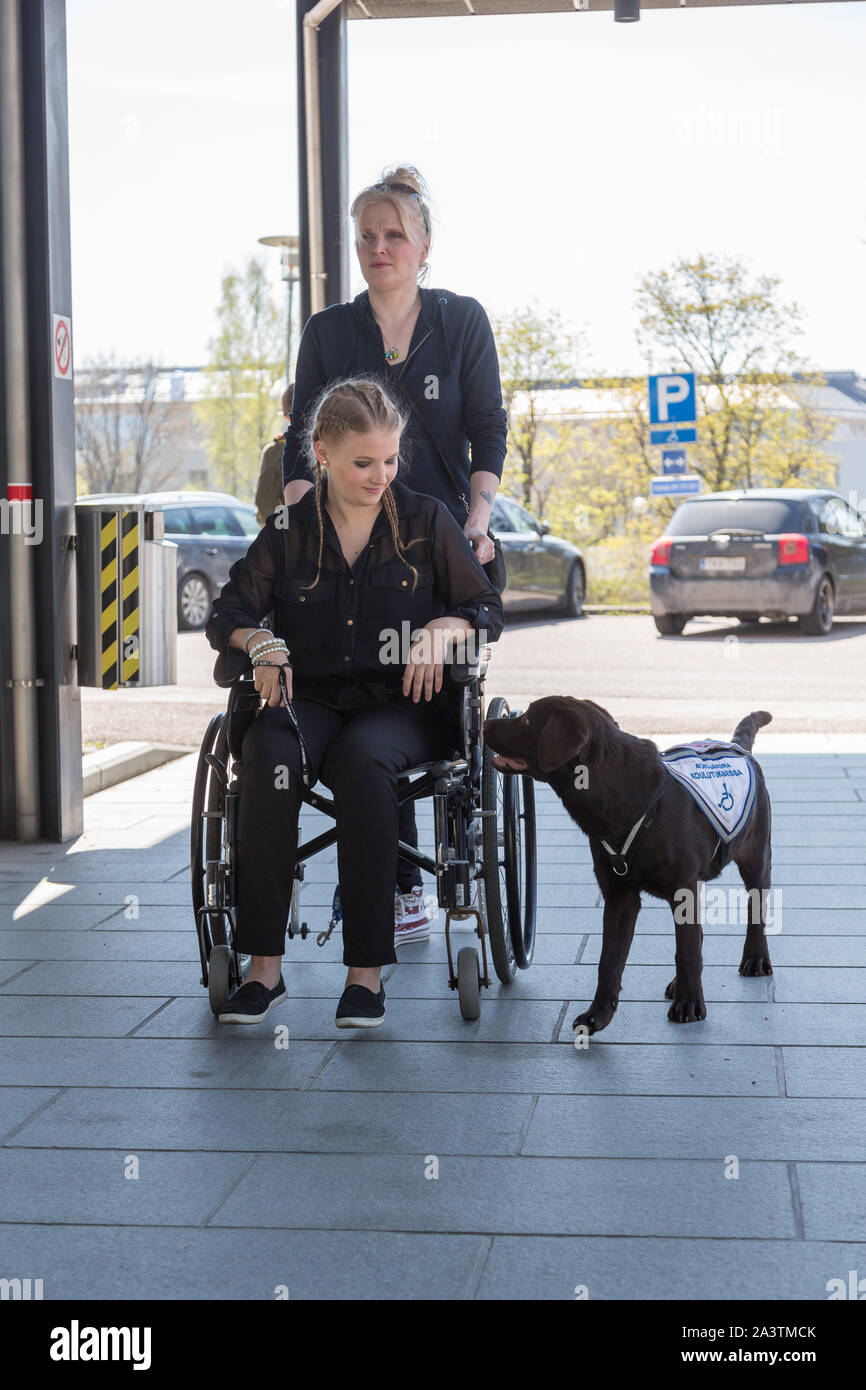 Young disabled woman in a wheelchair with a guide dog Stock Photo - Alamy