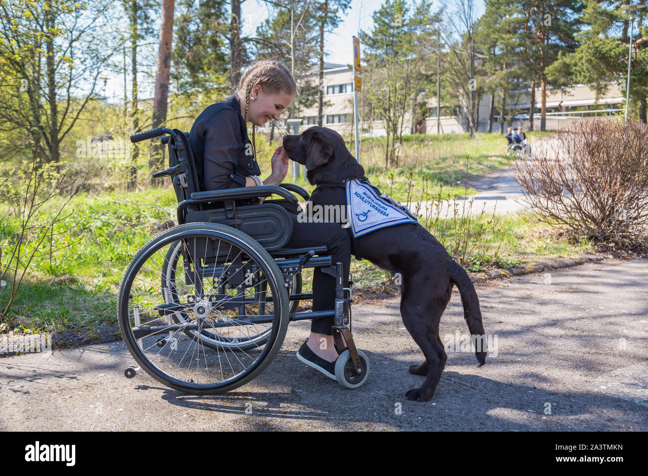 Blind girl with a guide dog hi-res stock photography and images - Alamy