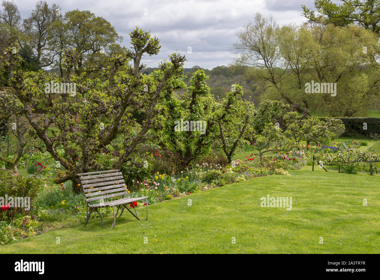 Orchard garden hi-res stock photography and images - Alamy