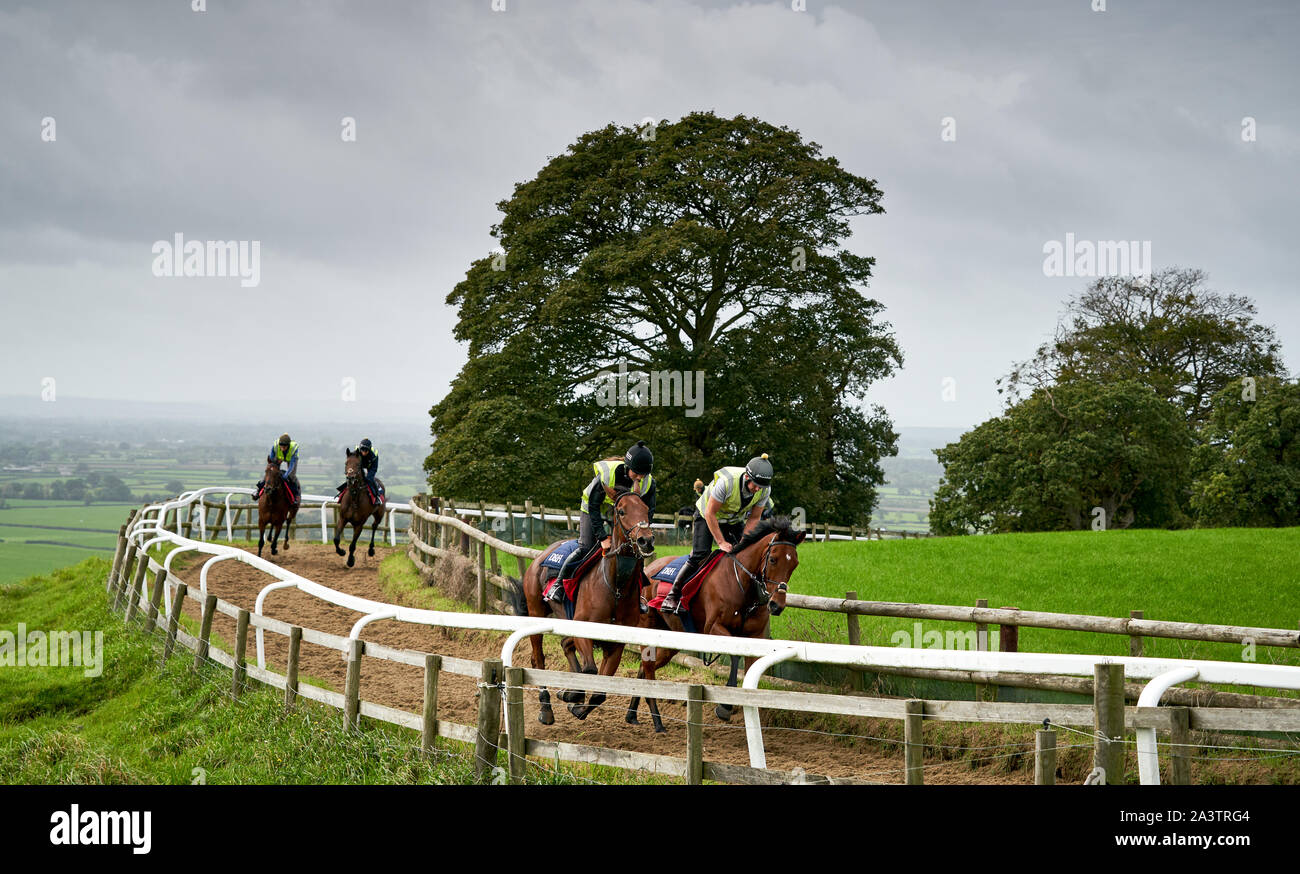 Jockey bryony frost manor farm stables hi-res stock photography and ...