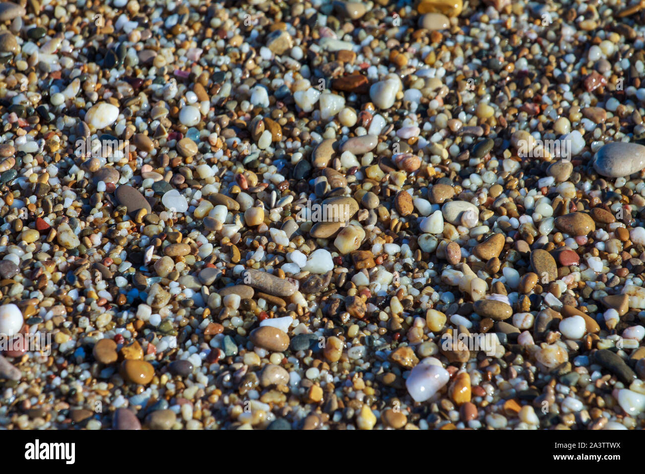 sea pebbles colored granite on the beach background stones. The shore ...
