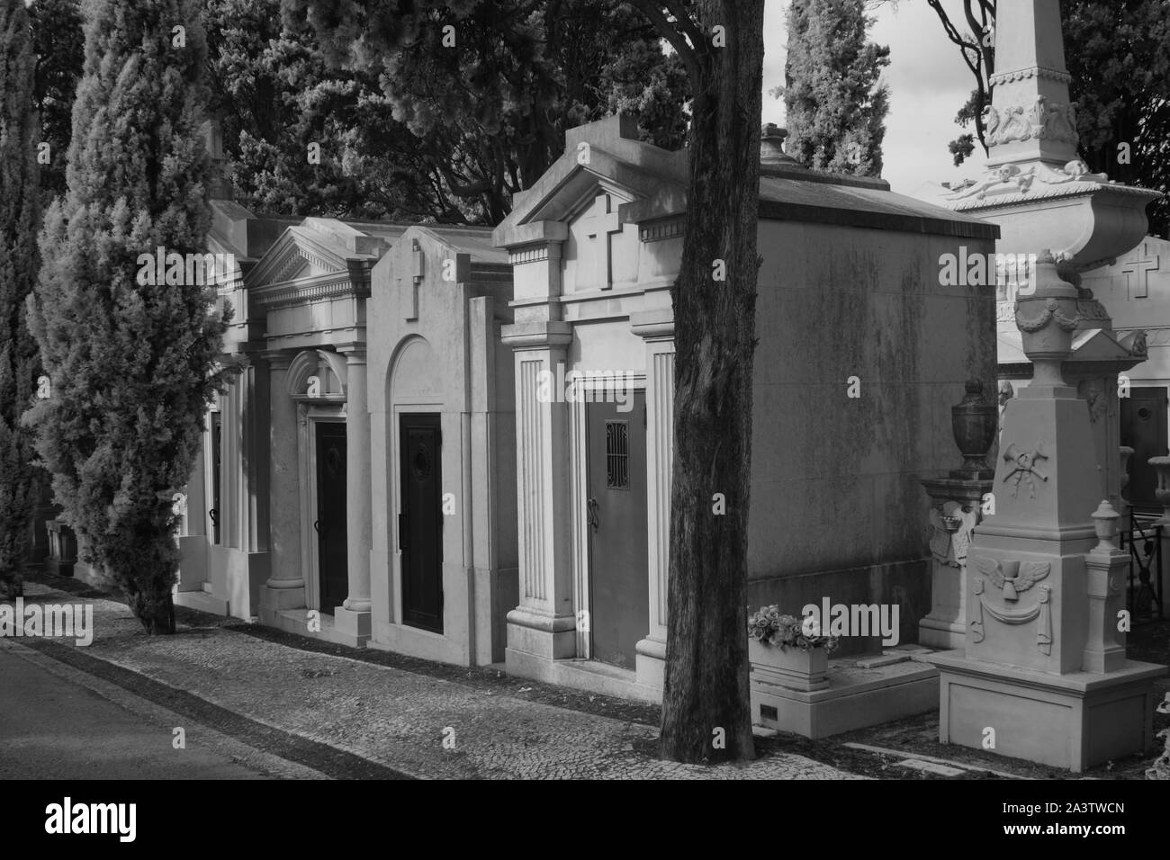 Black and white old european cemetery Stock Photo - Alamy