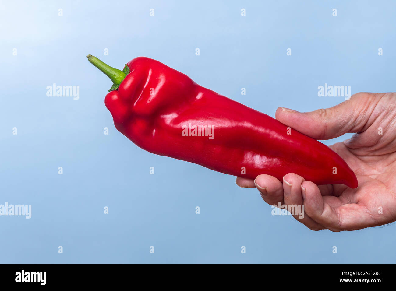 Hand holding pepper hi-res stock photography and images - Alamy
