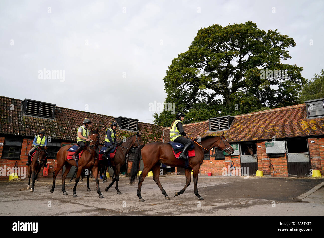 Jockey bryony frost manor farm stables hi-res stock photography and ...