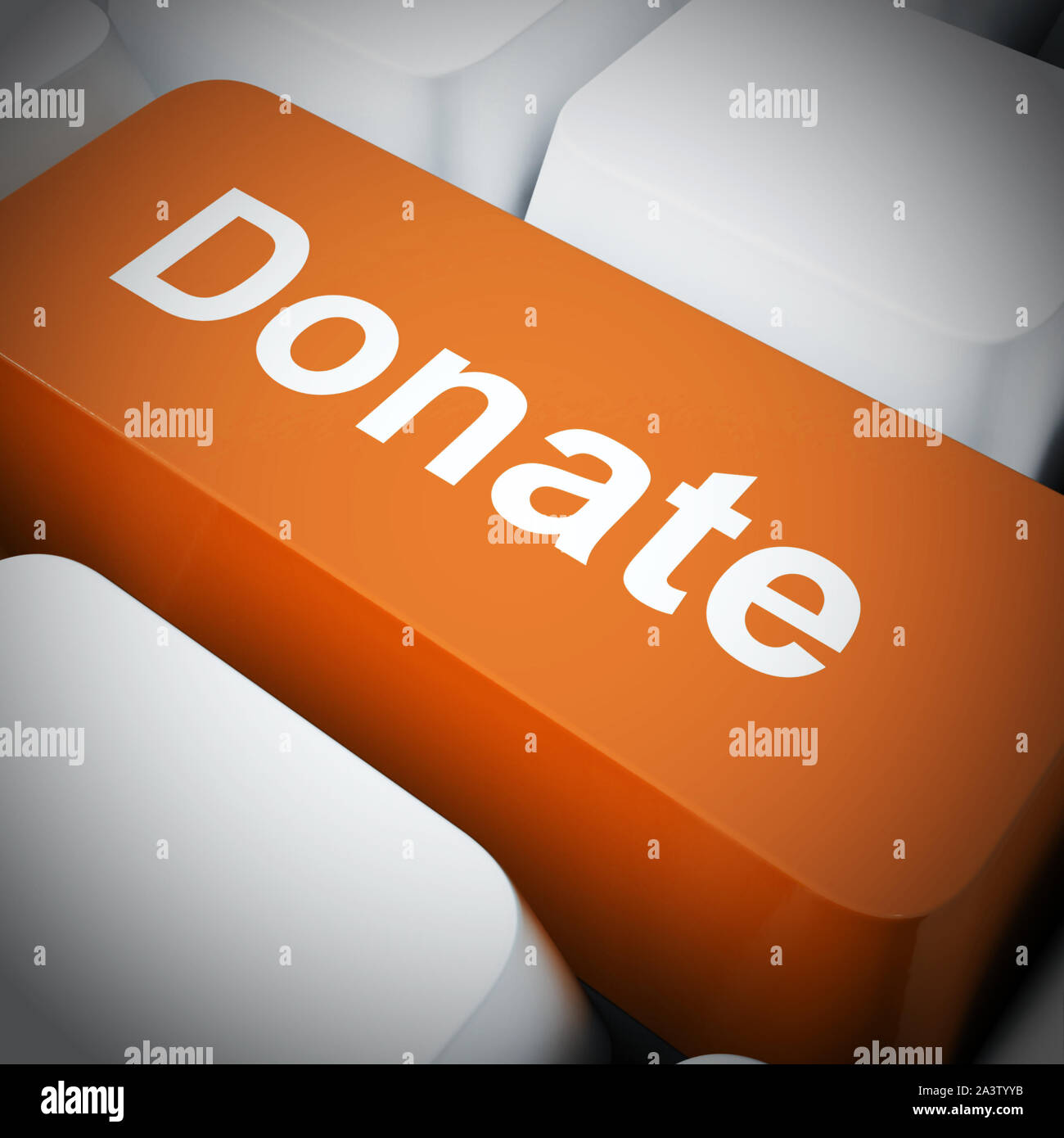 Donate Volunteer Button