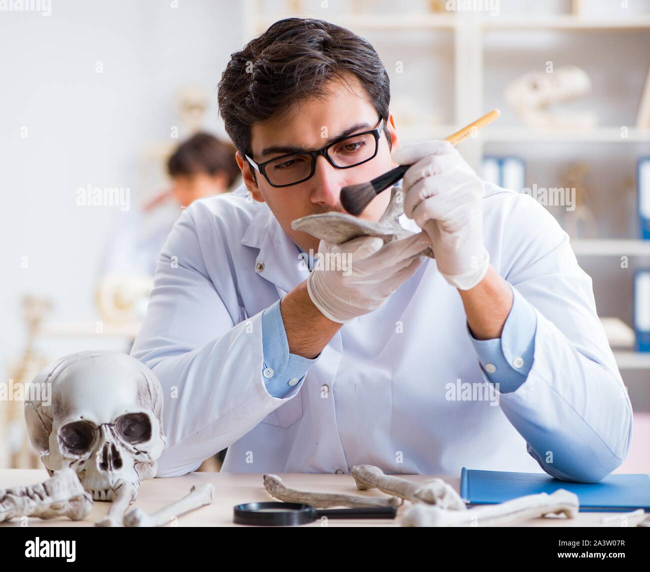 The professor studying human skeleton in lab Stock Photo - Alamy