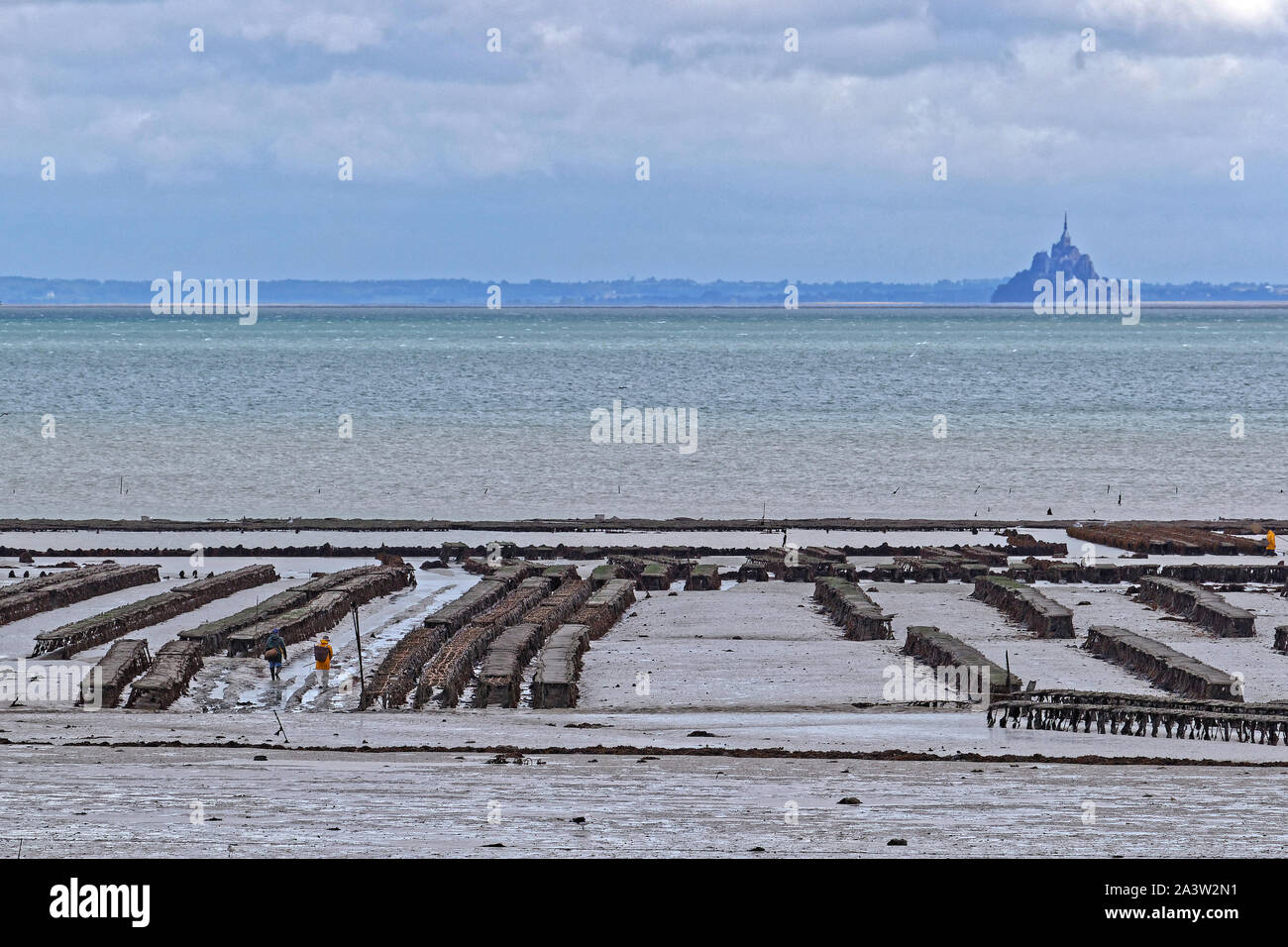 CANCALE, FRANCE, September 29, 2019 : Oyster Farming is one of the main ...