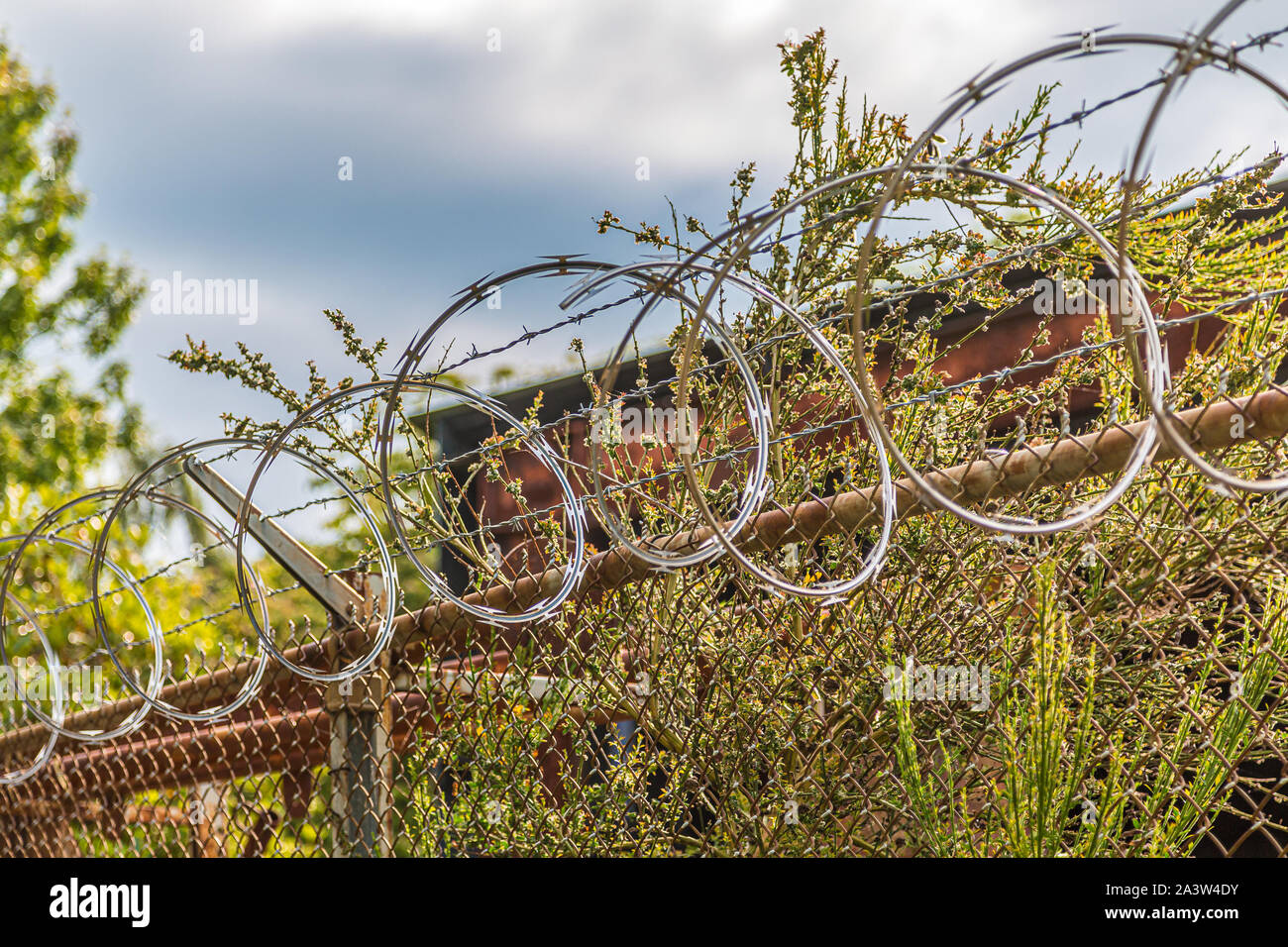 Razor Wire on Old Rusty Chain Link Fence Stock Photo - Alamy