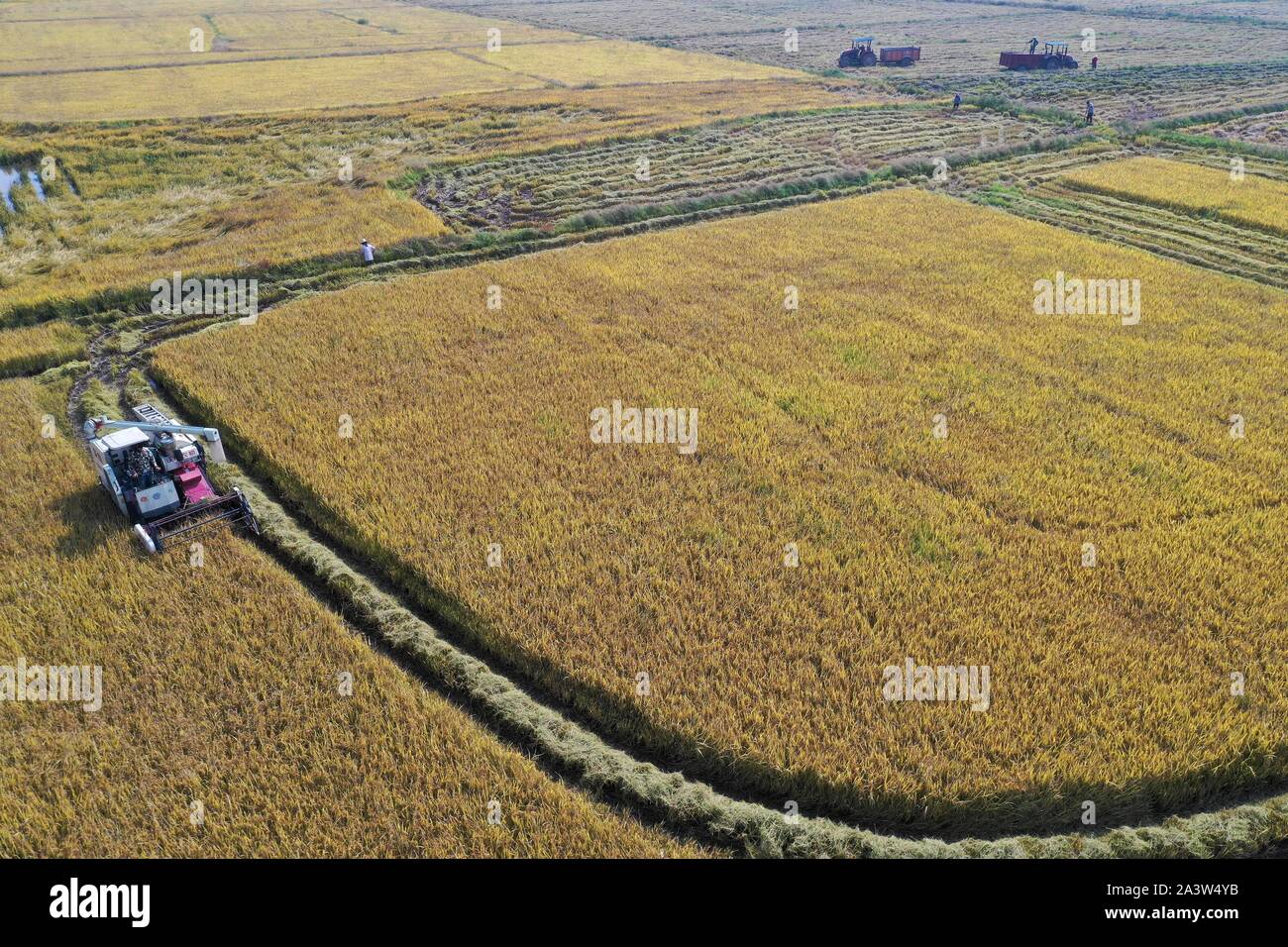 Nanchang. 10th Oct, 2019. Aerial photo taken on Oct. 10, 2019 shows ...