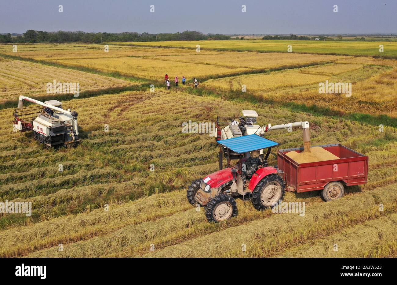 Nanchang. 10th Oct, 2019. Aerial photo taken on Oct. 10, 2019 shows ...