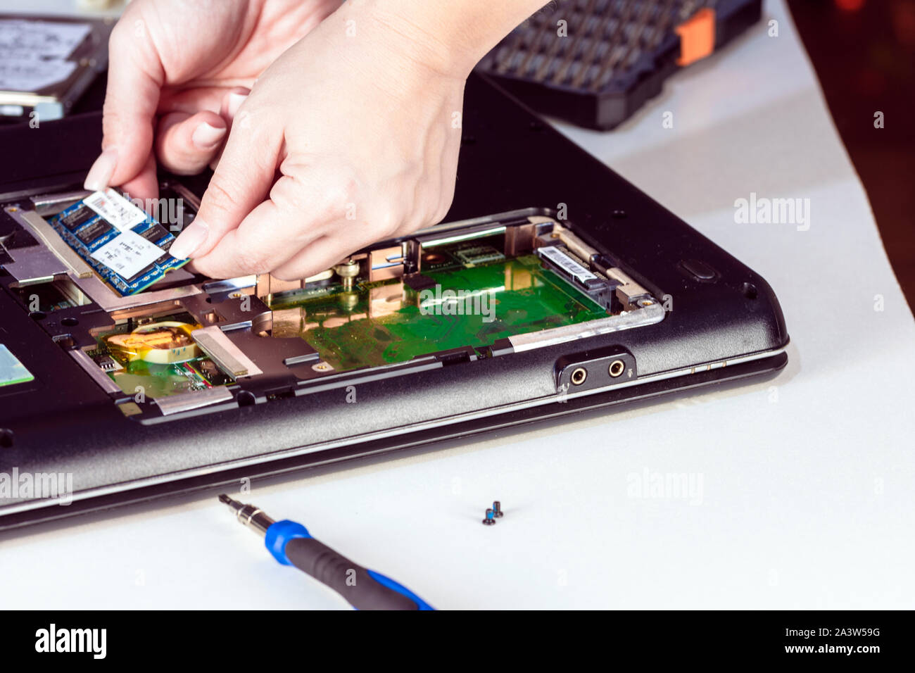 woman engineer replace computer component Stock Photo - Alamy