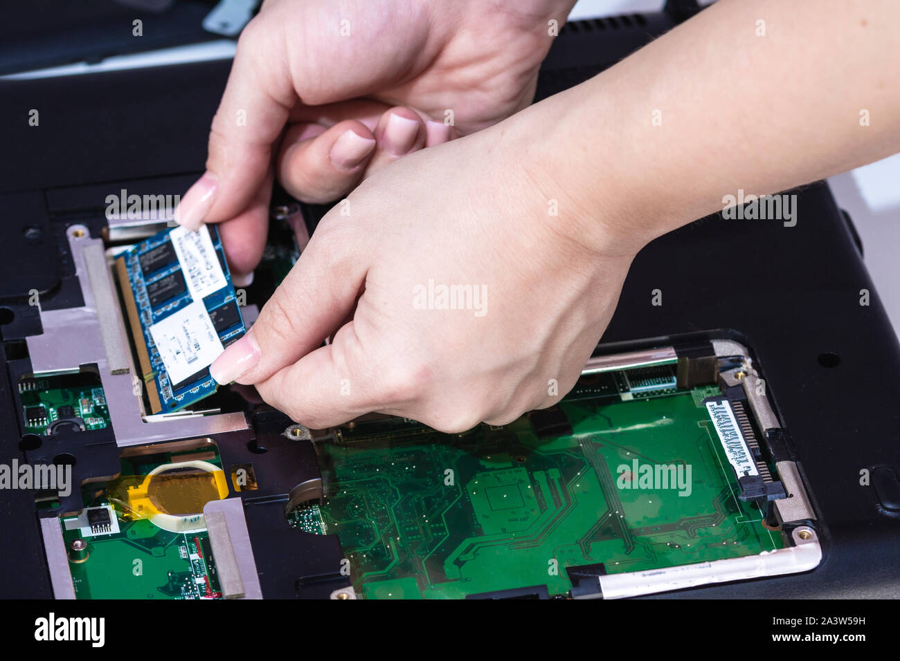 woman engineer installing computer memory Stock Photo - Alamy