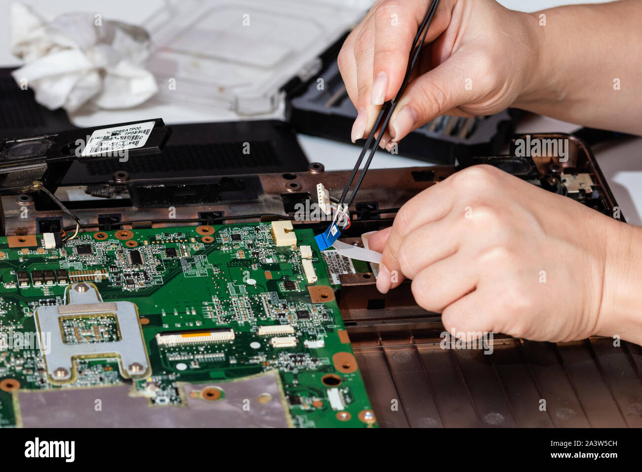 Closeup photo of woman engineer replace computer part from notebook ...