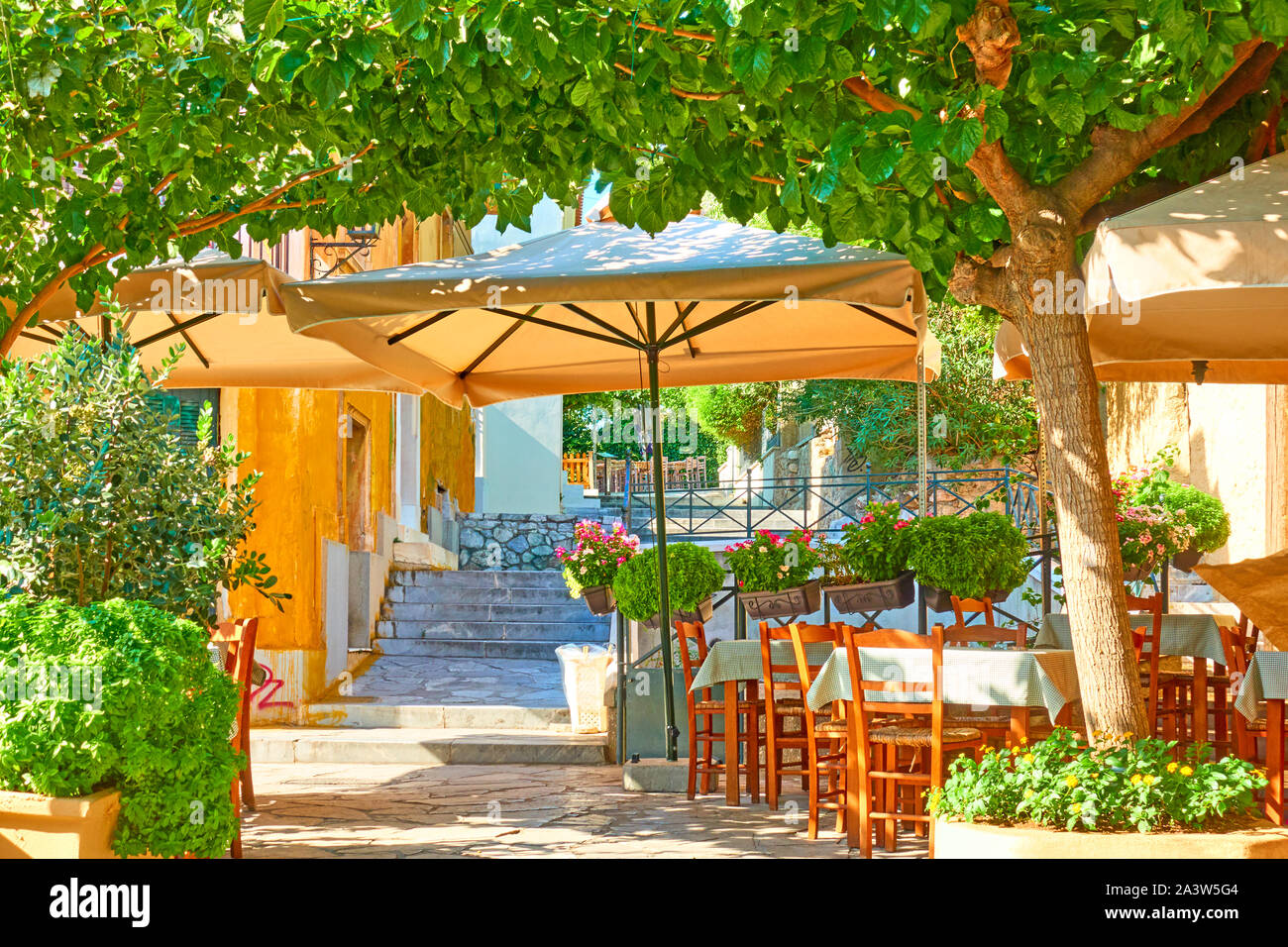 Charming street cafe with tables in a shade of the trees in Plaka ...