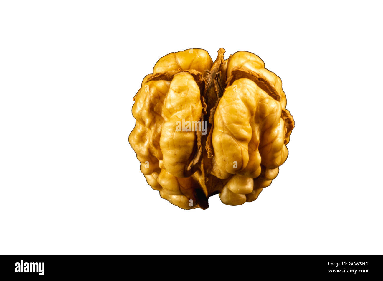 Core walnut isolated on white background Stock Photo - Alamy