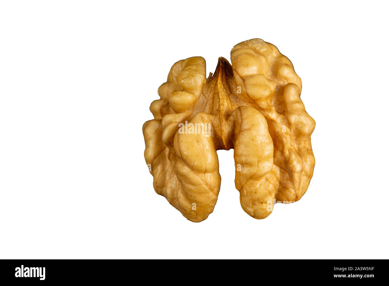 Half walnut core isolated on white background Stock Photo - Alamy