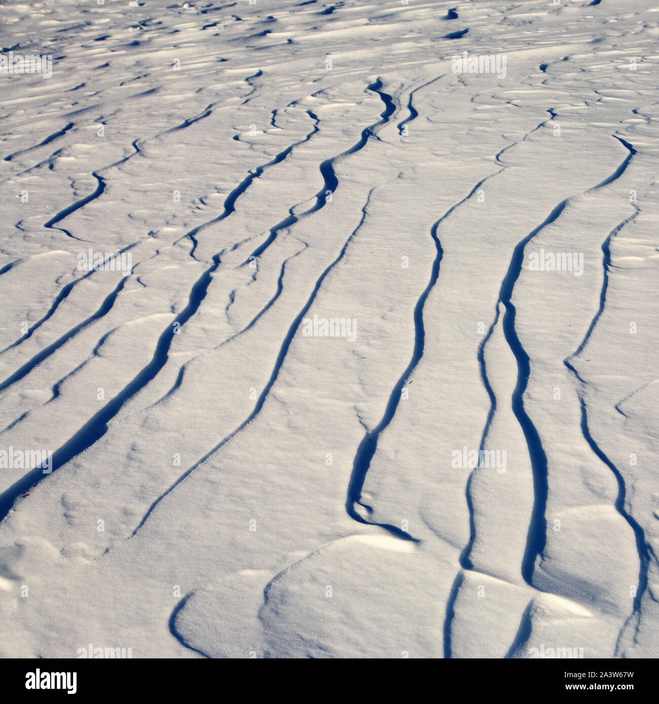 Elongated curve hi-res stock photography and images - Alamy