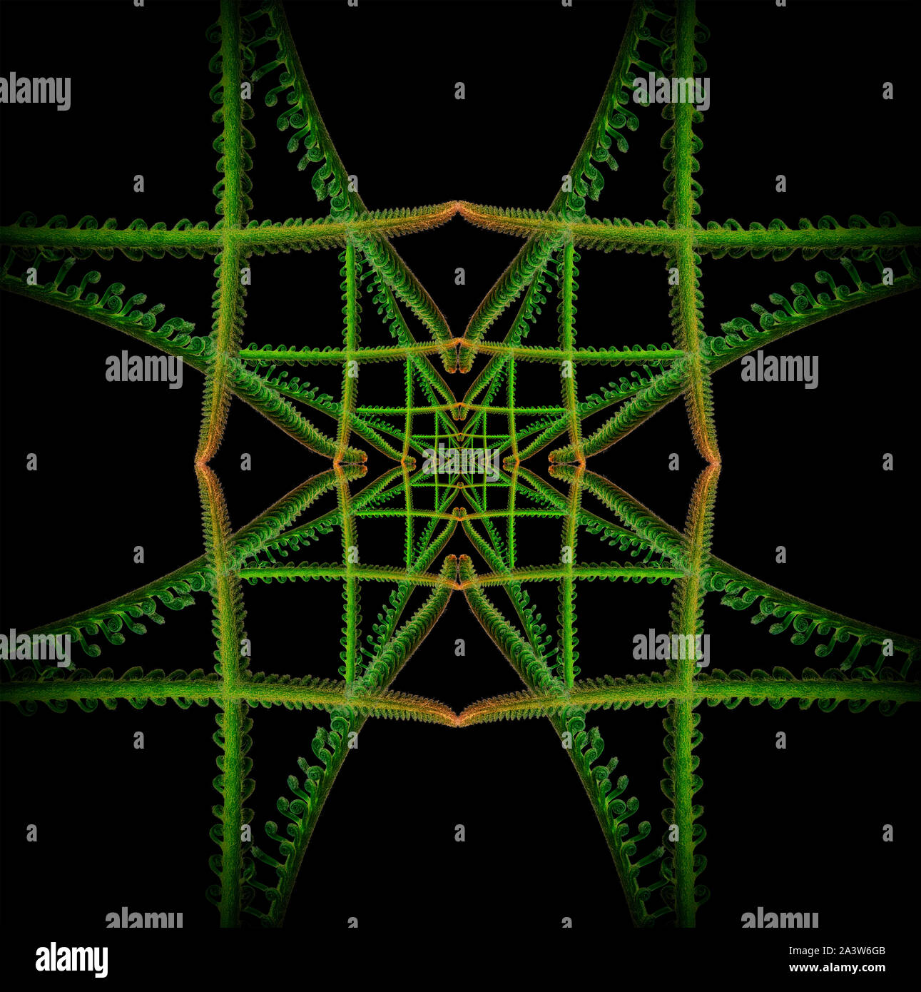 Abstract Symmetrical Concentric Square Pattern Made Of Macros From Young Unwinding Branches Of A