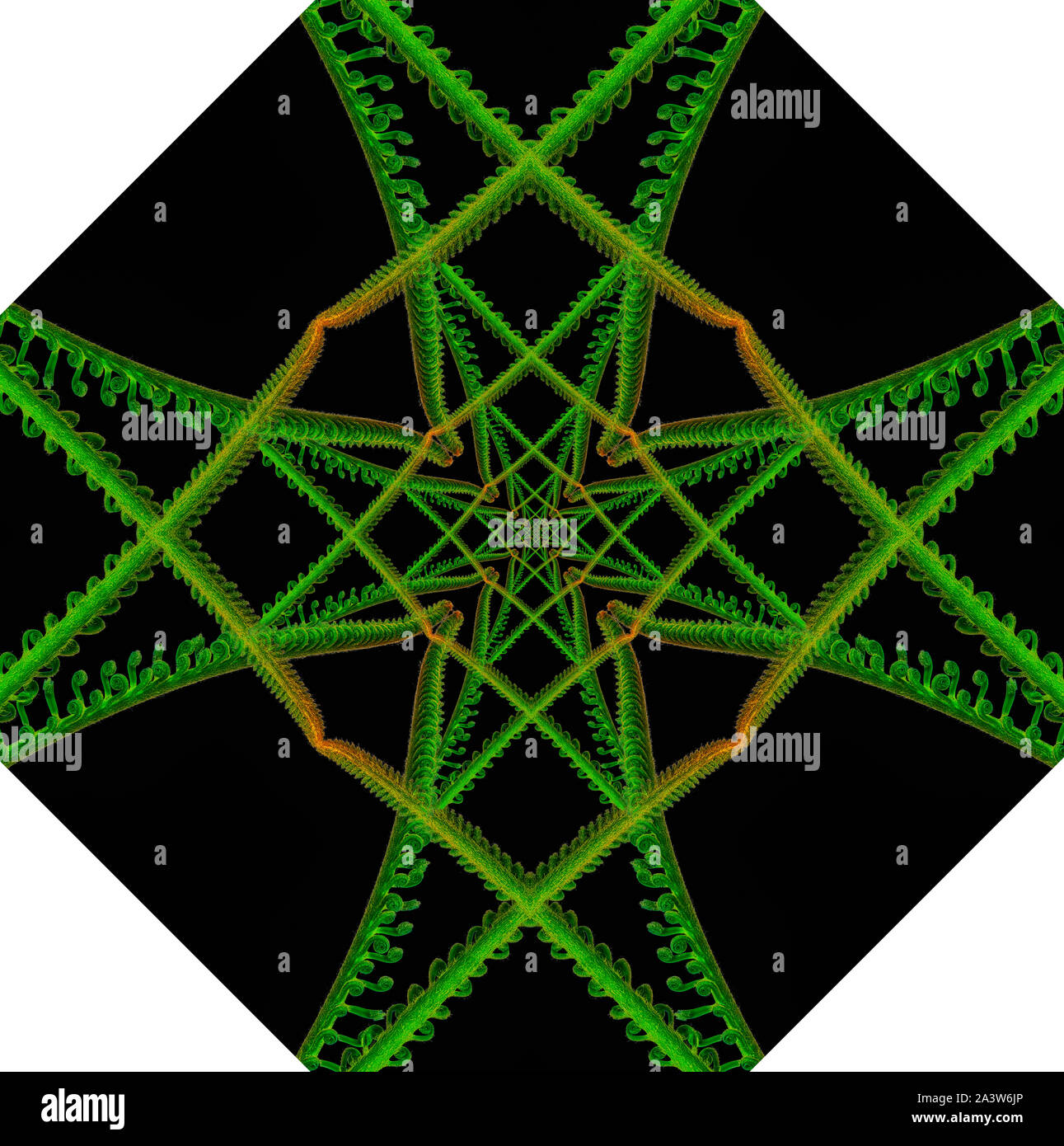 Curved star pattern hi-res stock photography and images - Alamy