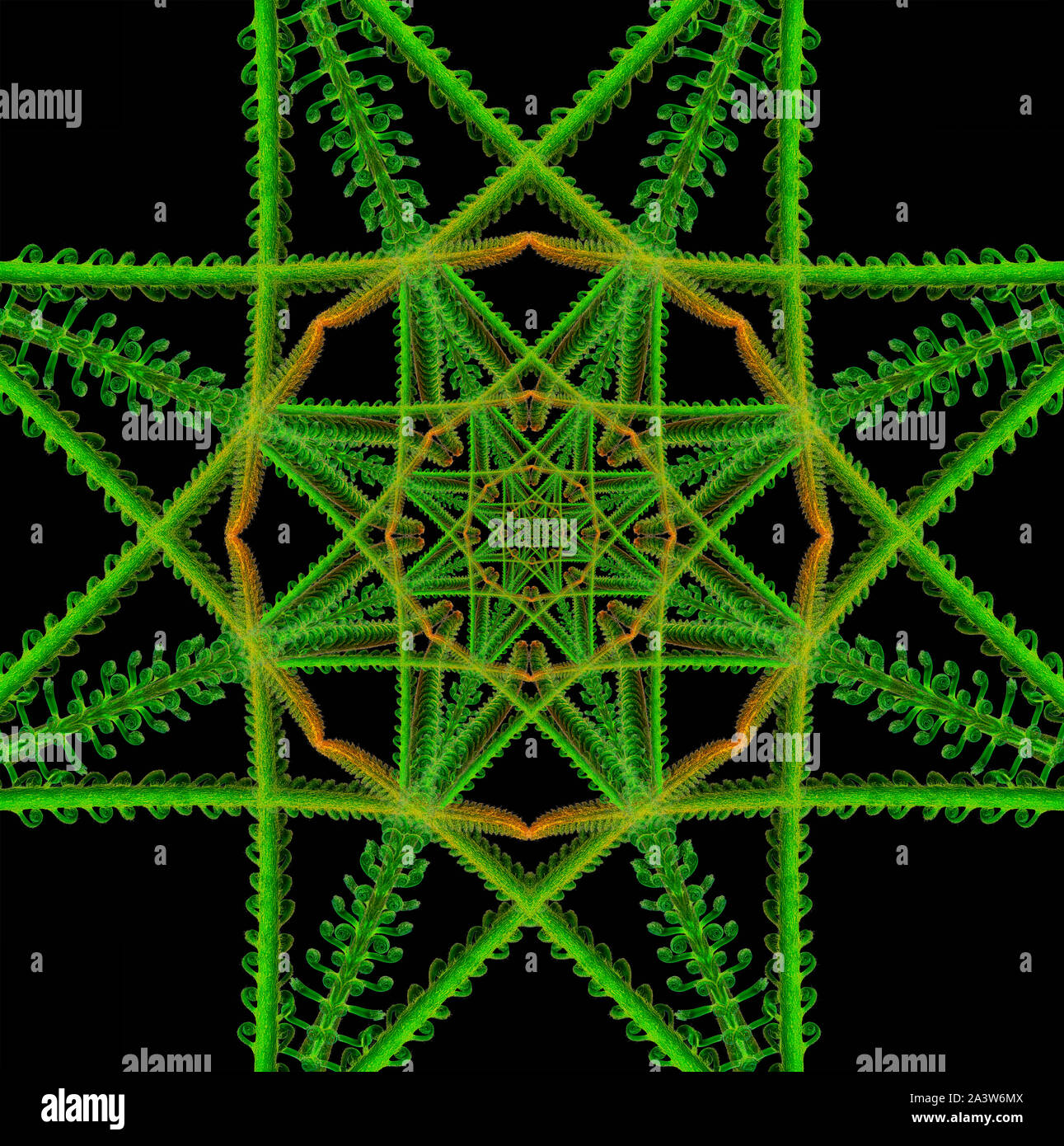 Abstract Symmetrical Concentric Octagonal Pattern Made Of Macros From Young Unwinding Branches