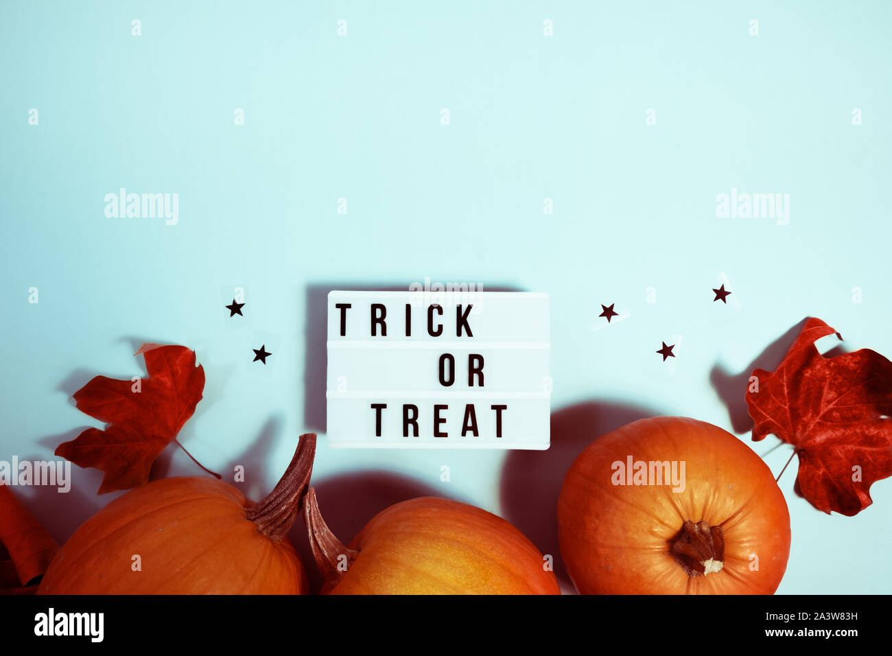 pumpkin arrangement. flat lay autumn wallpaper Stock Photo - Alamy