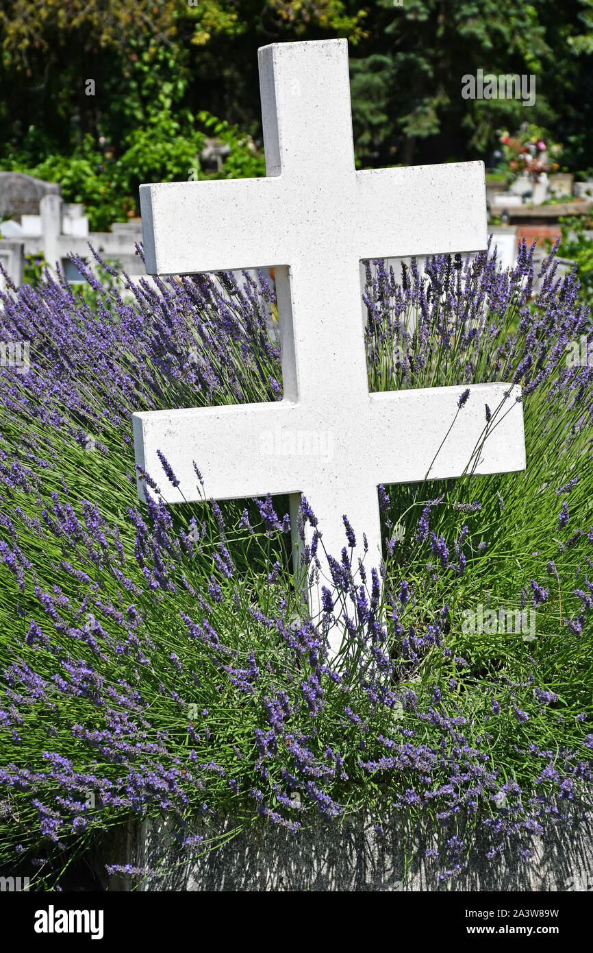 Cross tombstone in the cemetery Stock Photo - Alamy