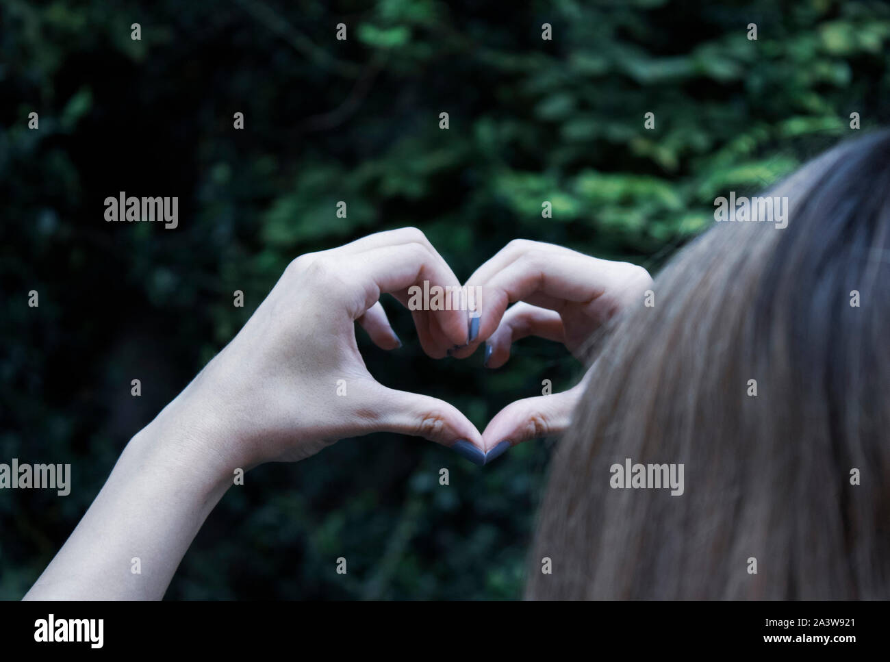 Female hands heart shape on isolated nature background Stock Photo - Alamy