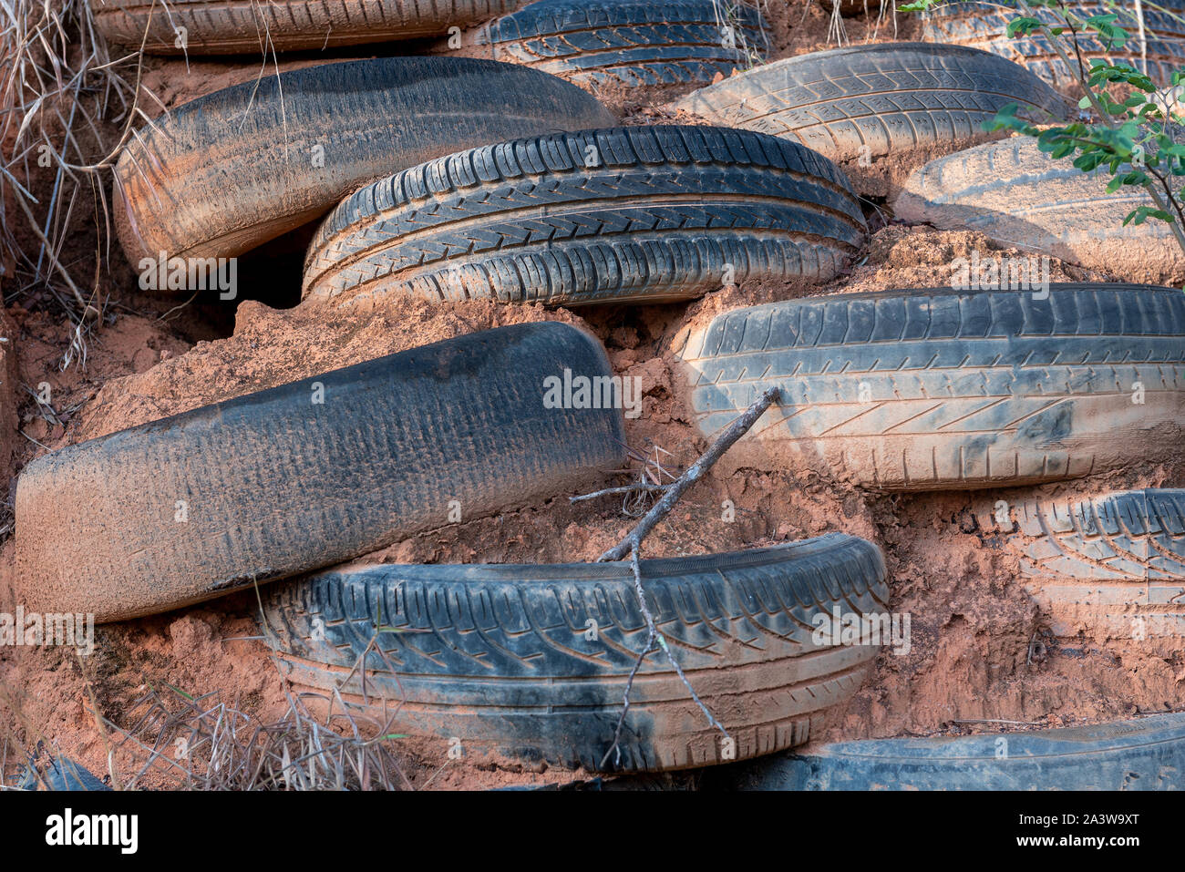 Extreme close-up on erosion and landslide prevention with the use of ...