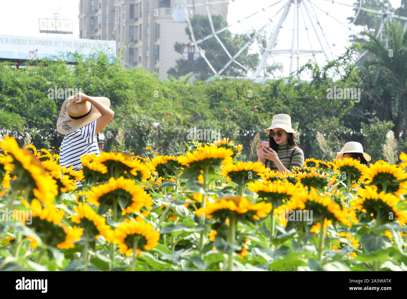 Central changsha hi-res stock photography and images - Alamy