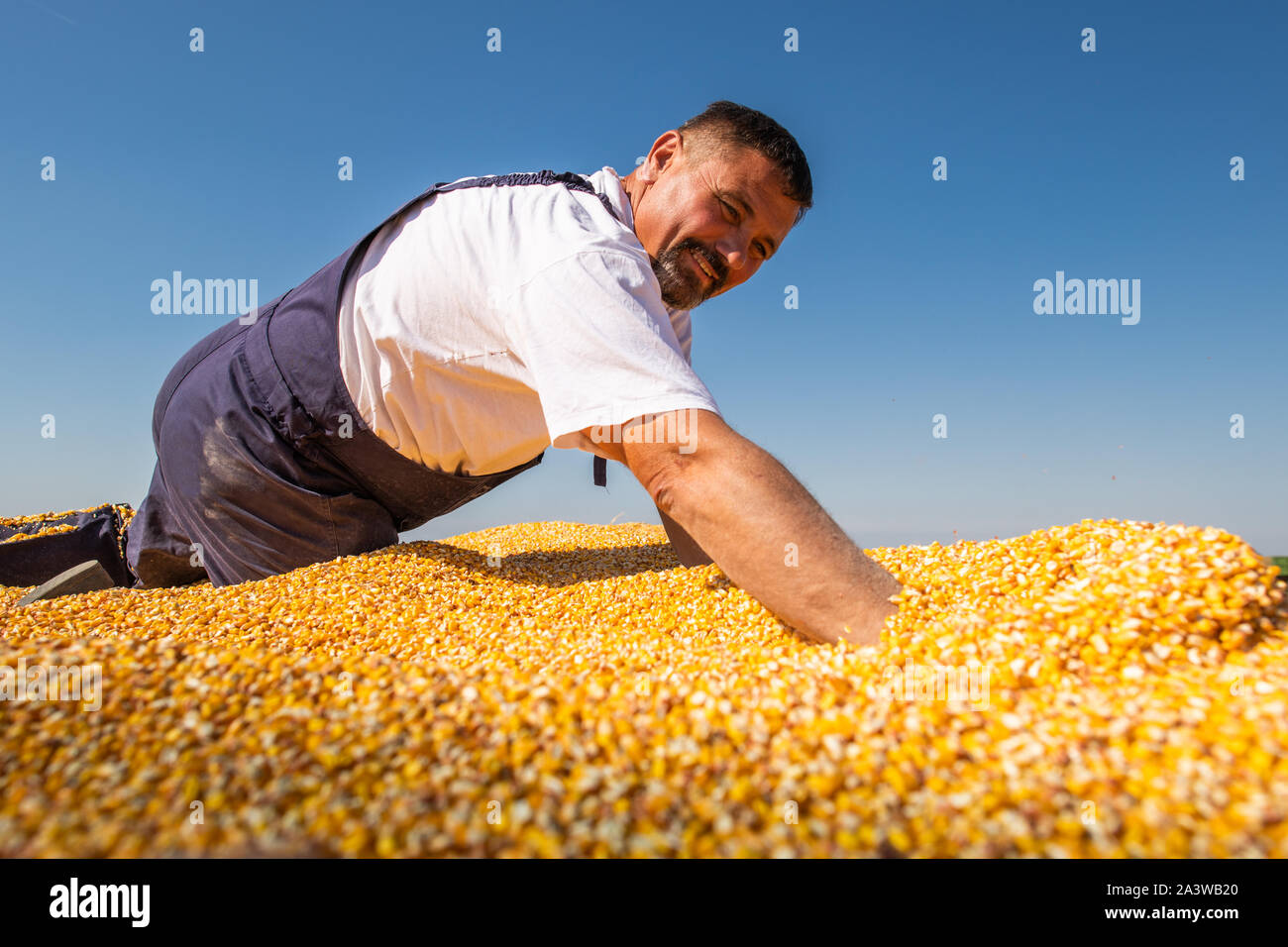 Bulk grain trailer hi-res stock photography and images - Alamy