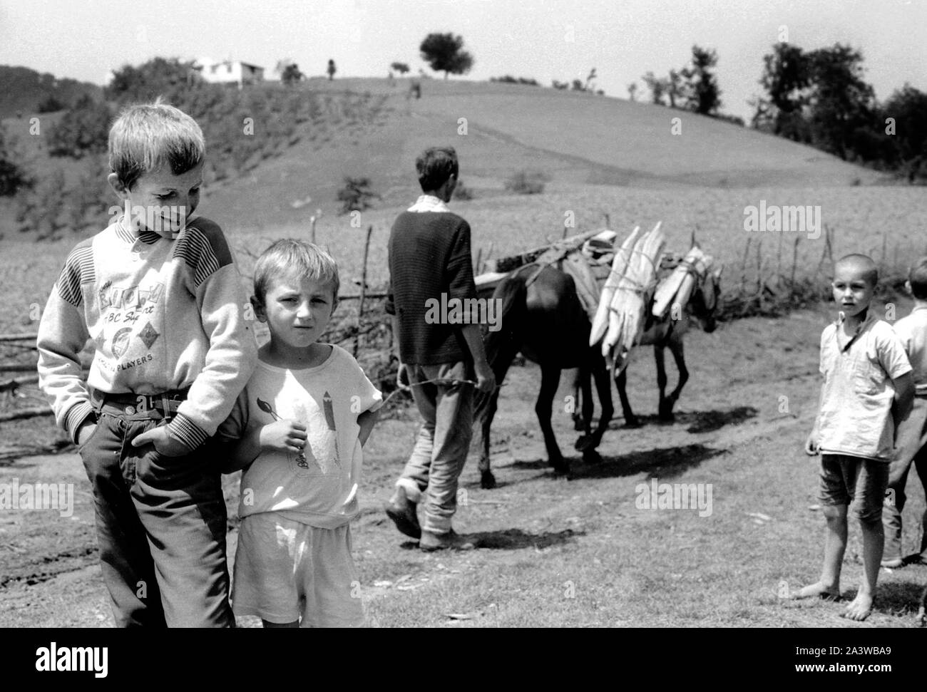 Poor kids in the streets surrounding the city of Srebrenica Stock Photo ...