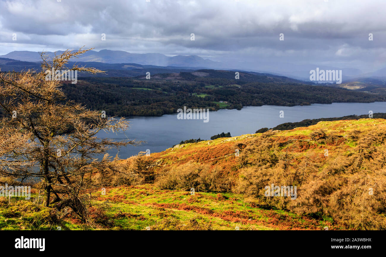 gummers how viewpoint lake windermere lake district england uk Stock ...
