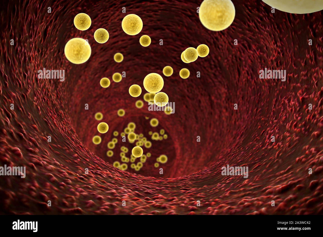 inside the blood vessel, High quality 3d render of blood cells ...