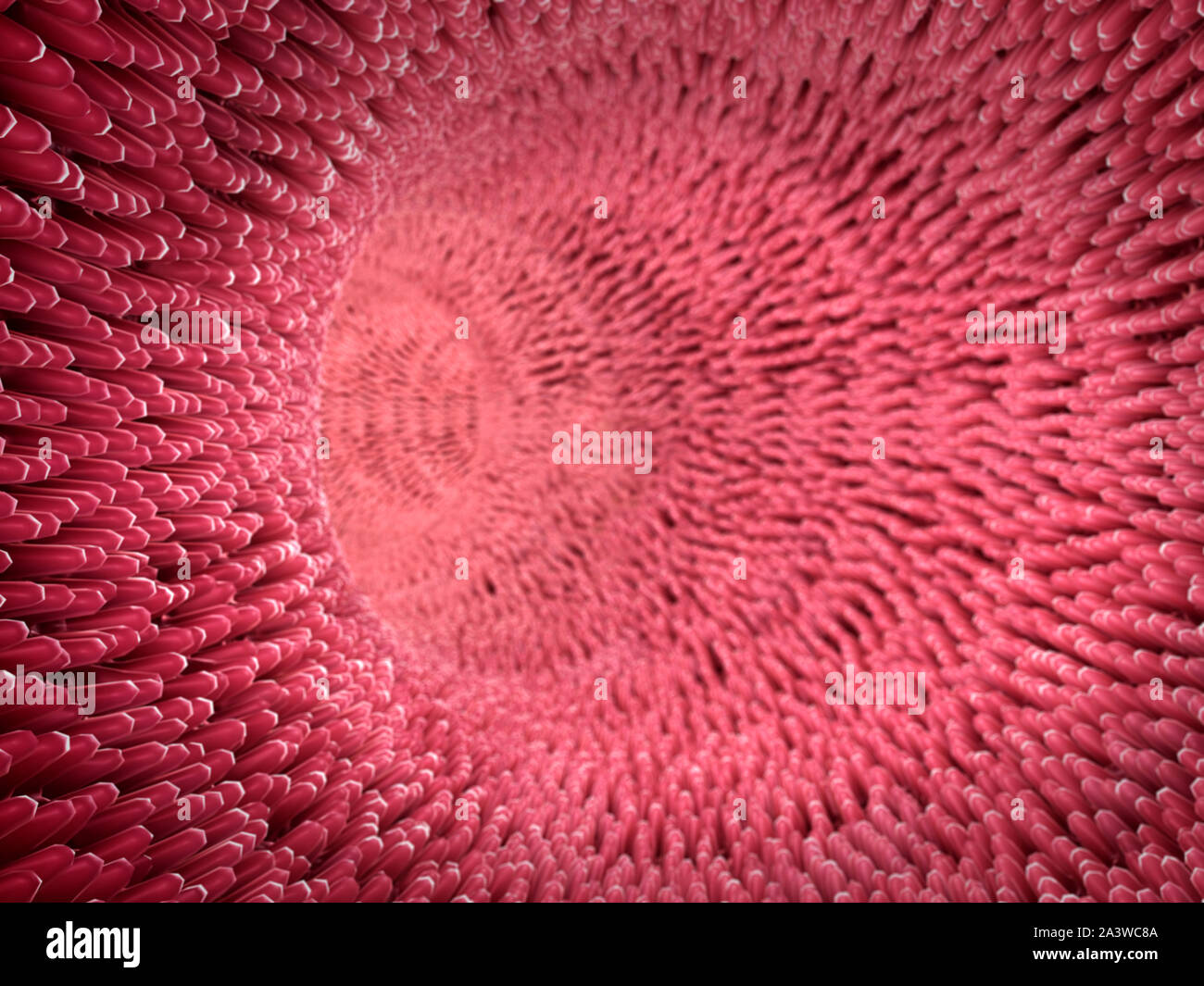 fat cell inside the blood vessel, High quality 3d render of blood cells ...