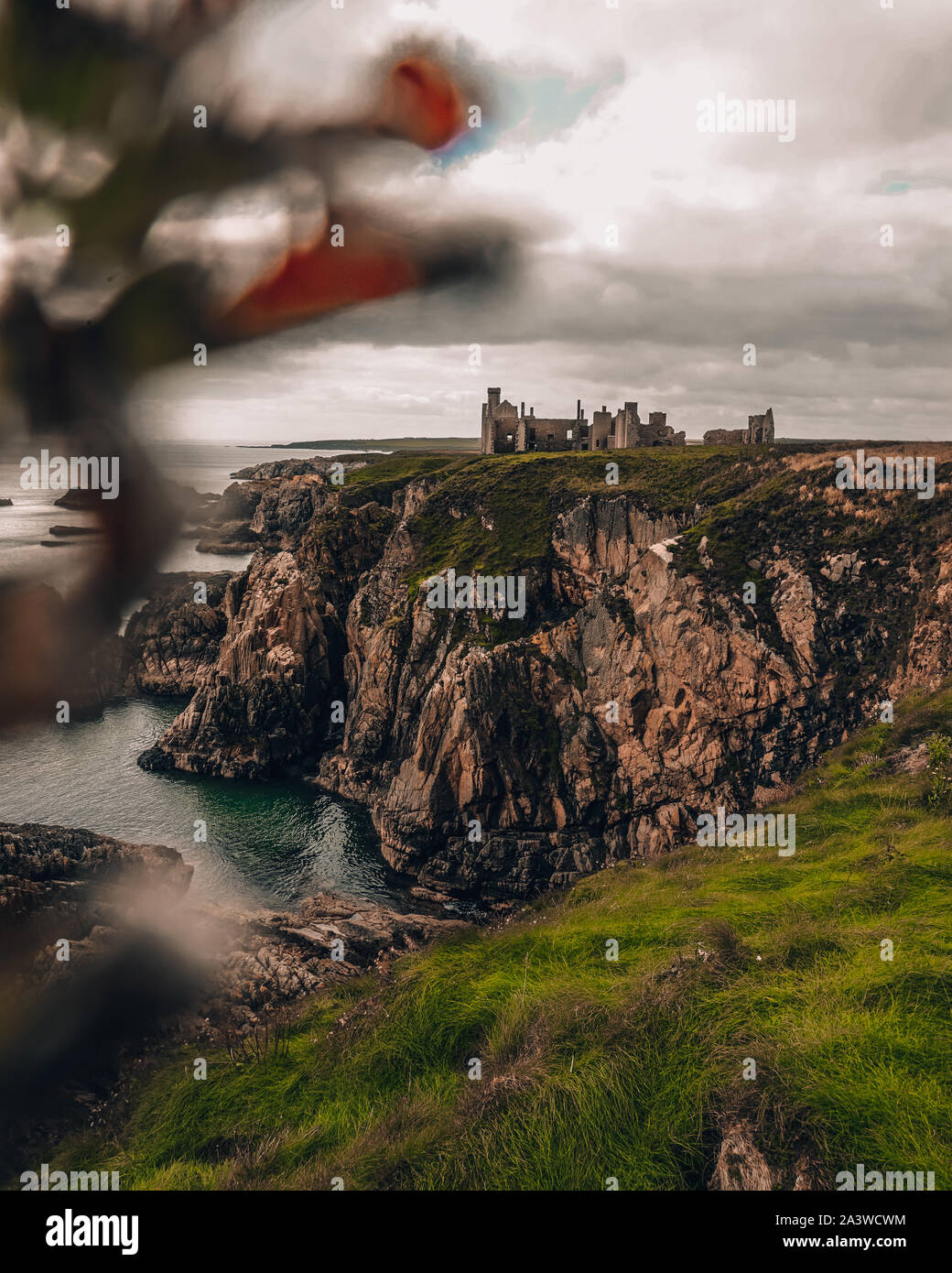 Highland cow castle hi-res stock photography and images - Alamy