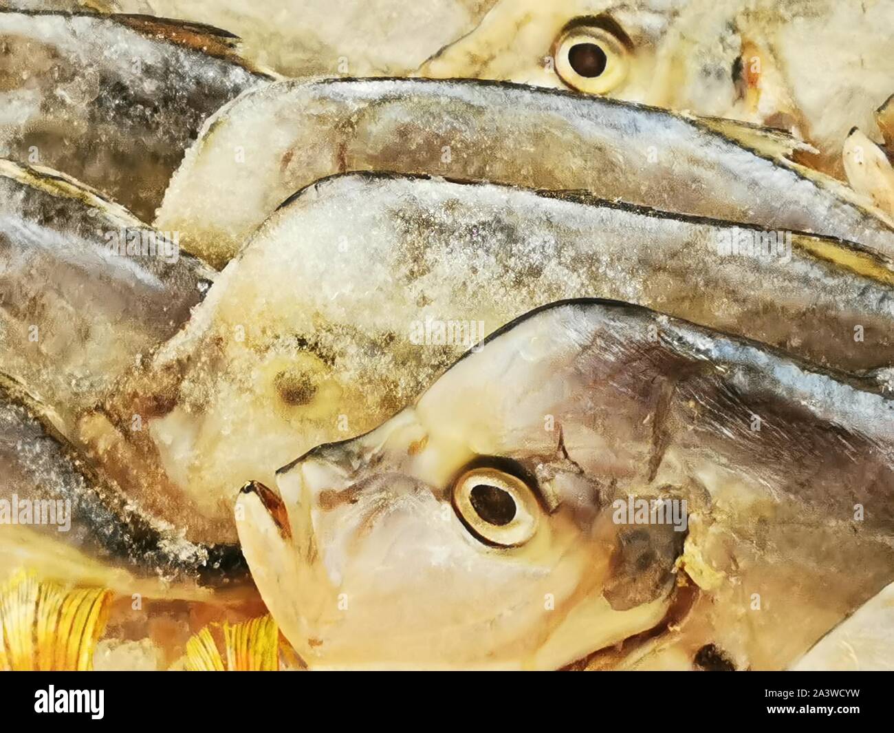 Fresh fish on market. Close up shot Stock Photo - Alamy