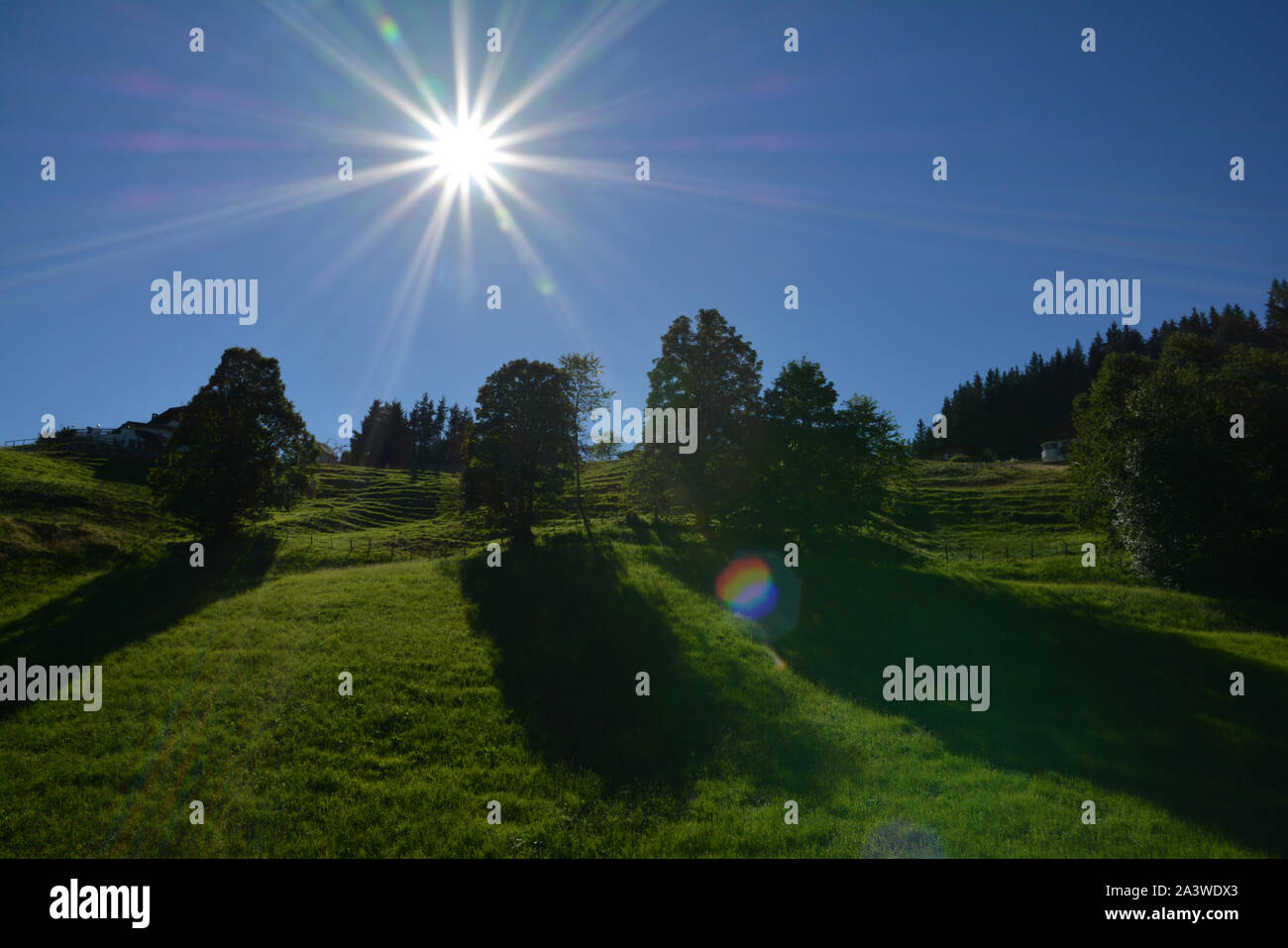 Soll austria summer hi-res stock photography and images - Alamy