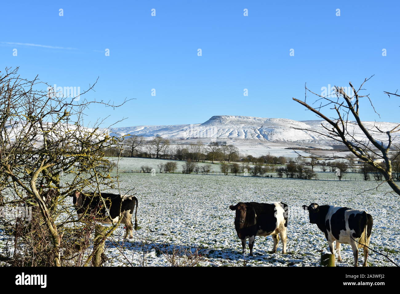 Roman fell the pennines hi-res stock photography and images - Alamy