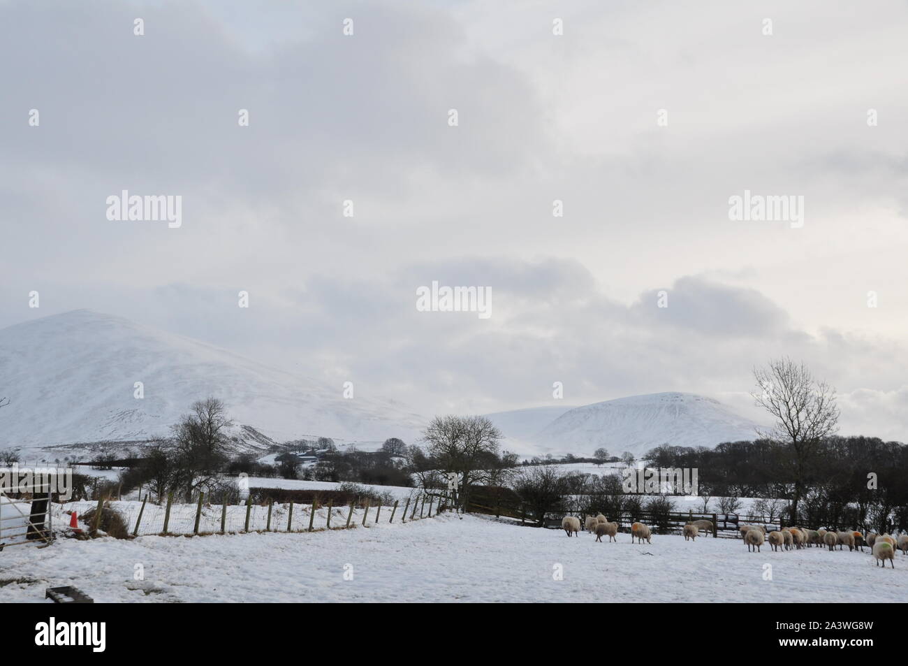 Northern pennines winter hi-res stock photography and images - Alamy