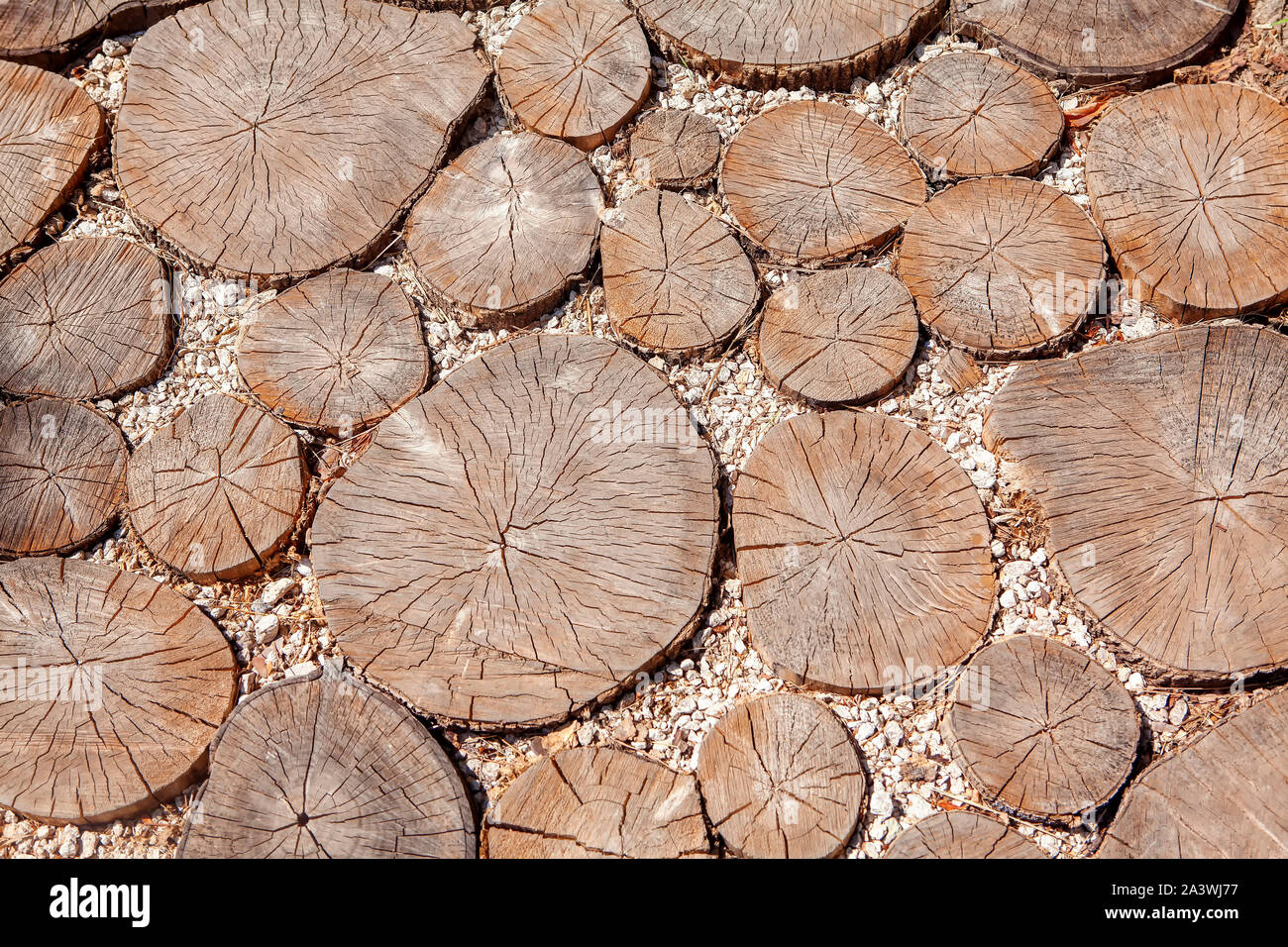 wooden walkway , path made by cut round trees Stock Photo - Alamy