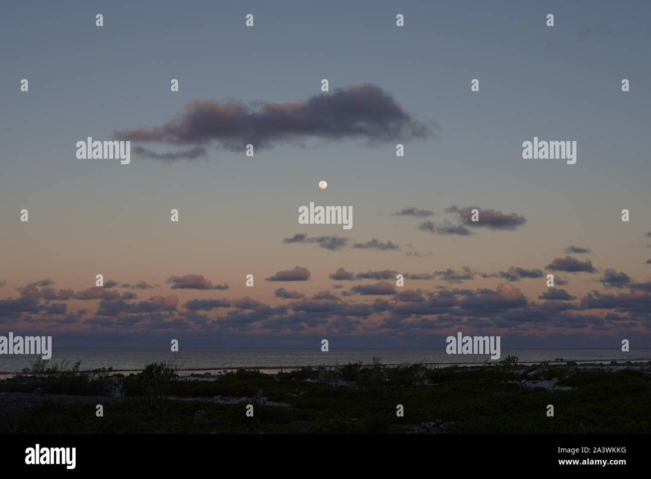 The moon rises over the Pacific Ocean during blue hour on the island of ...