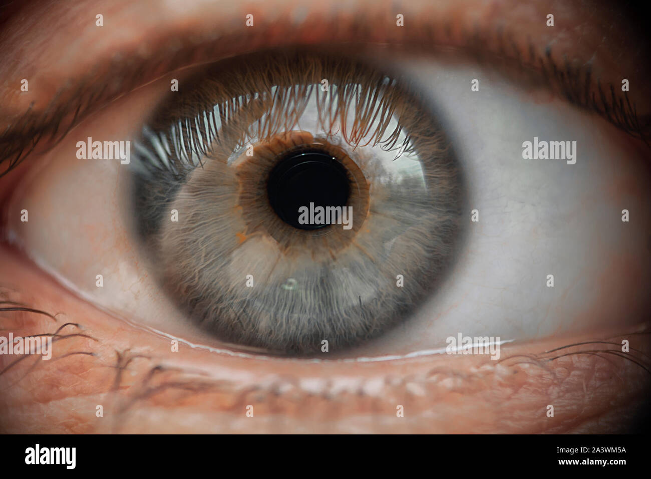 Macro eye photography hi-res stock photography and images - Alamy