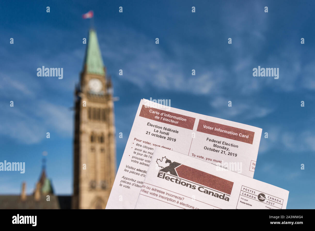 How to vote cards hi-res stock photography and images - Alamy